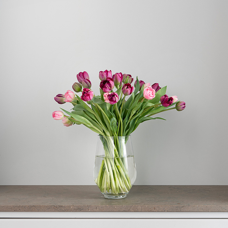 Vas blåklocka – Greenroom Blommor & Design